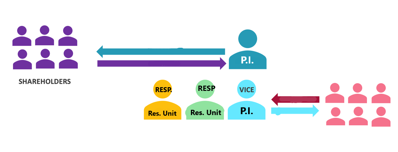 Governance & Board – Silco Project
